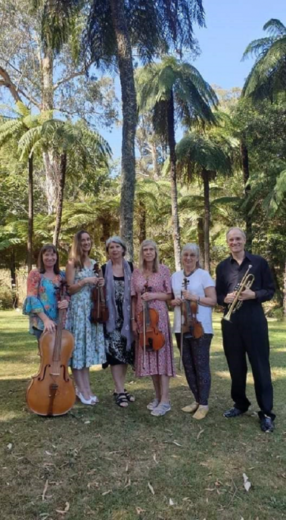 Musical ensemble returns to the stage | Mountain Views Star Mail